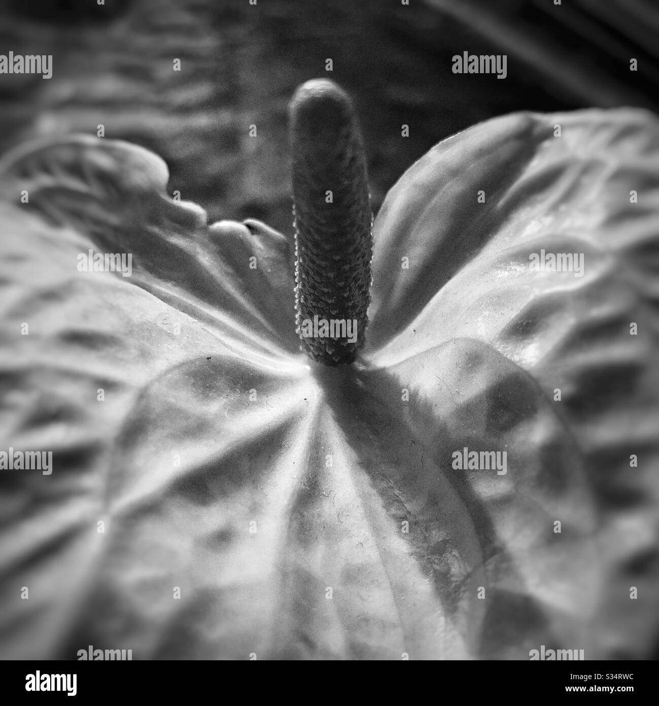 Peace love and understanding hi-res stock photography and images - Alamy