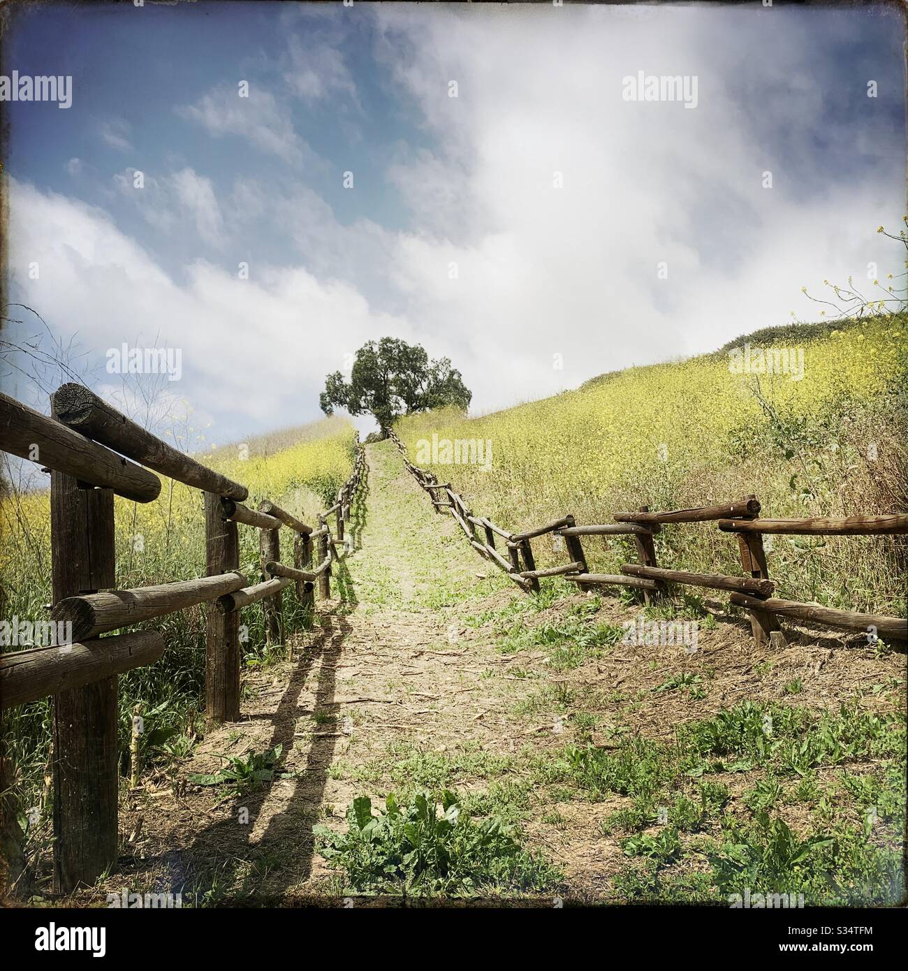 View along one of the many famous horse trails in the small Southern ...