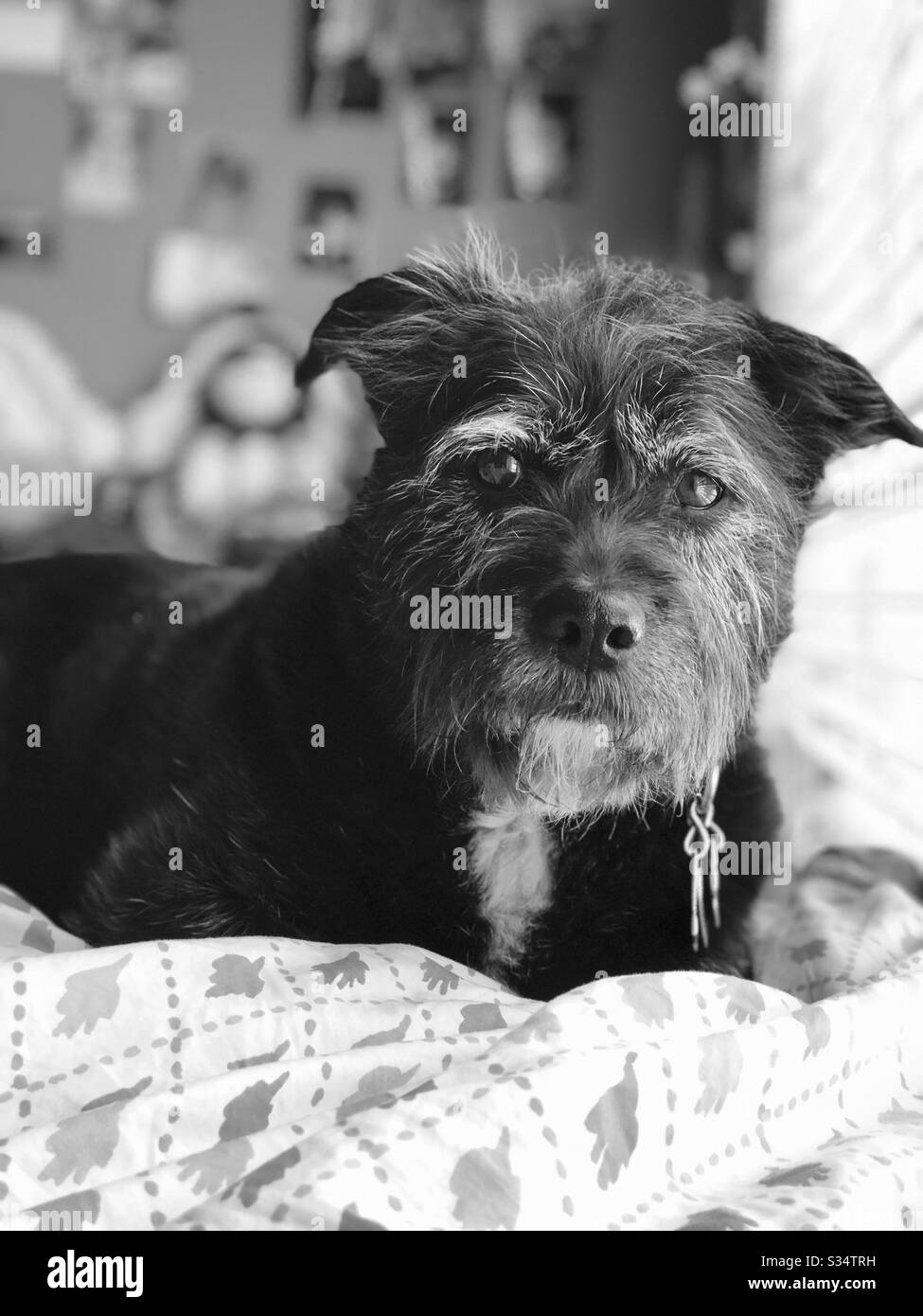 Hoomans hi-res stock photography and images - Alamy