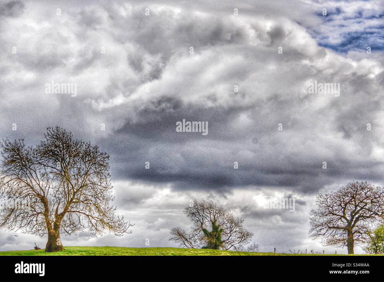 Cloud touching tree hi-res stock photography and images - Alamy