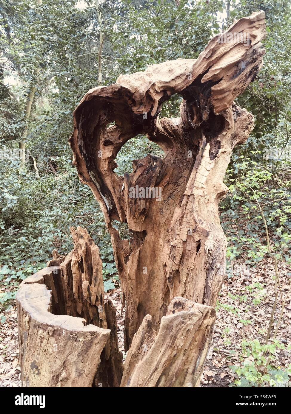 Tree stump sculpture hi-res stock photography and images - Alamy