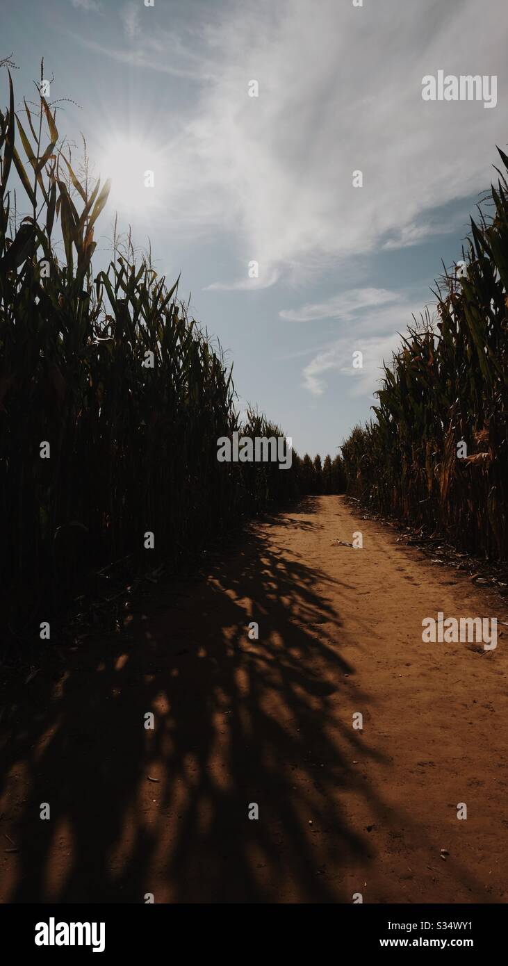 Fall skies blue hi-res stock photography and images - Alamy