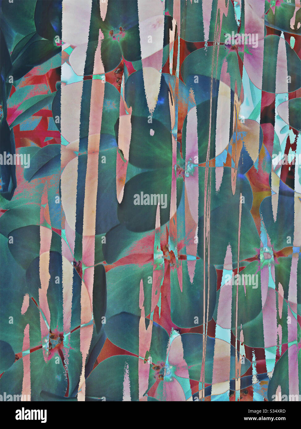 Fondos de flores de colores hi-res stock photography and images - Alamy