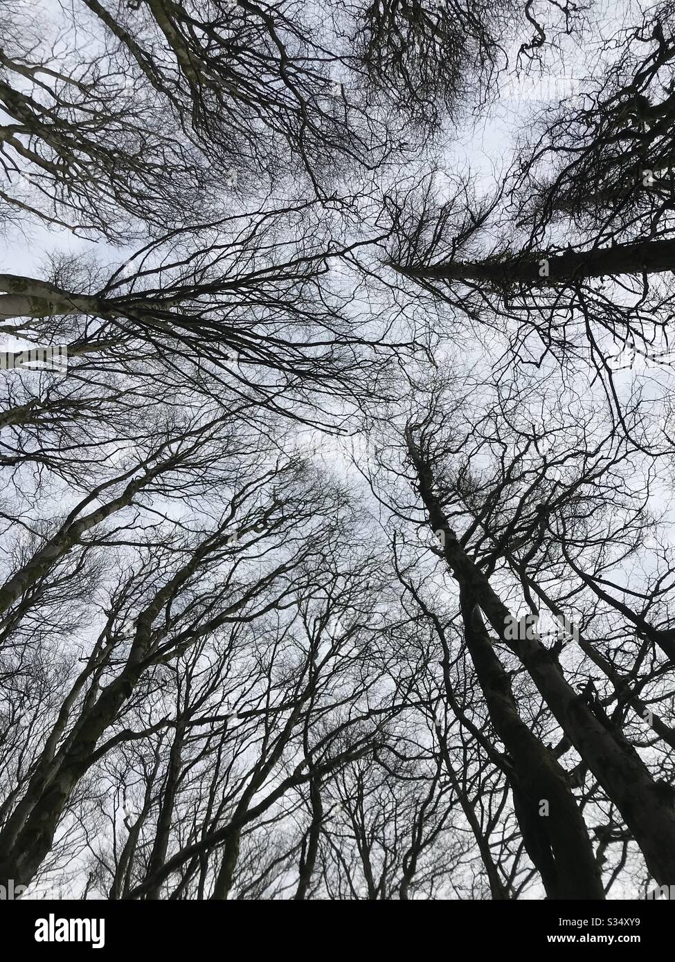 Bright grey sky hi-res stock photography and images - Alamy
