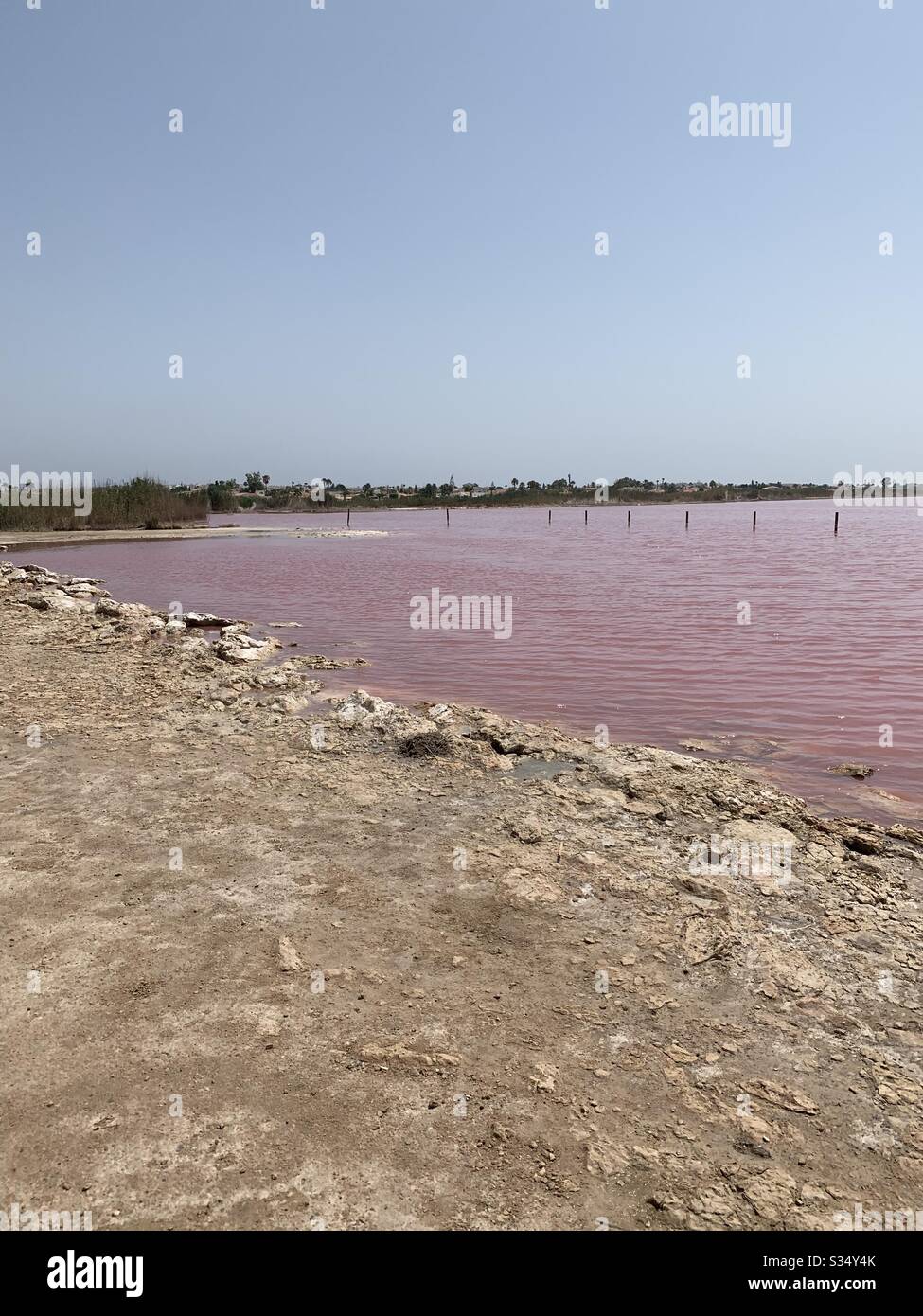 The pink lakes of Spain Stock Photo - Alamy