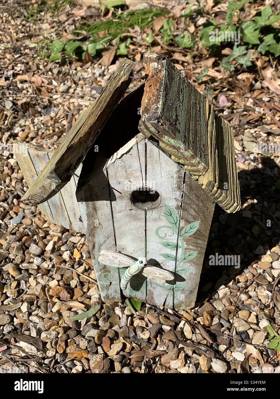 Weathered bird house with decaying roof and dragonfly motif on the ...