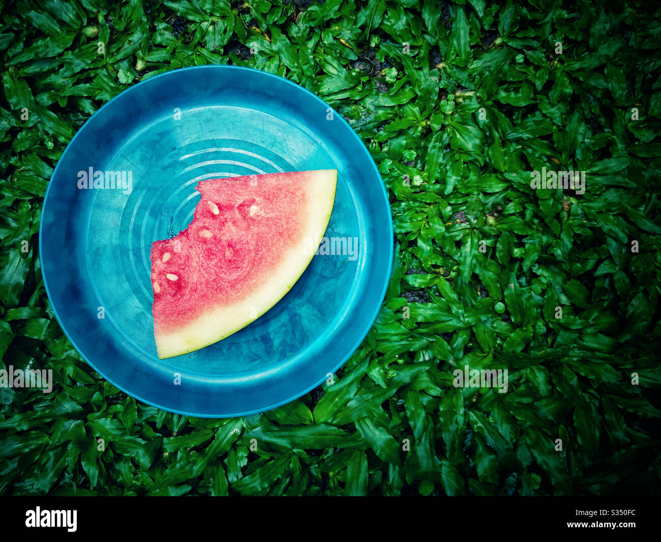 Bitten watermelon hi-res stock photography and images - Alamy