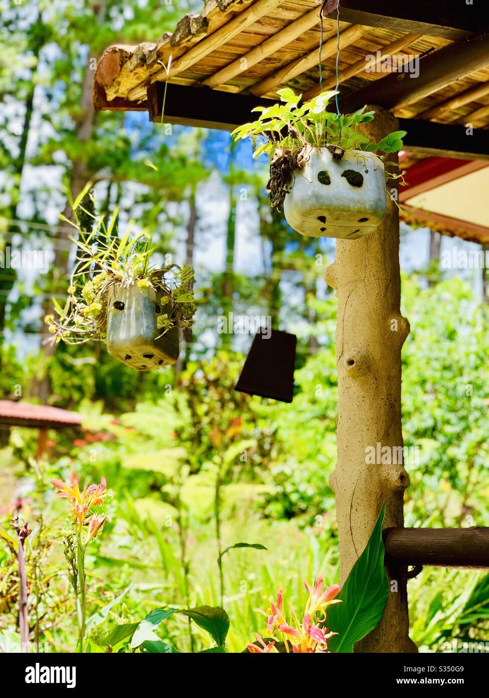 Cuban Coffee Shop High Resolution Stock Photography and Images - Alamy