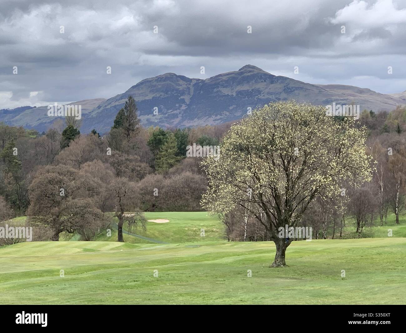 Dumyat hill hi-res stock photography and images - Alamy