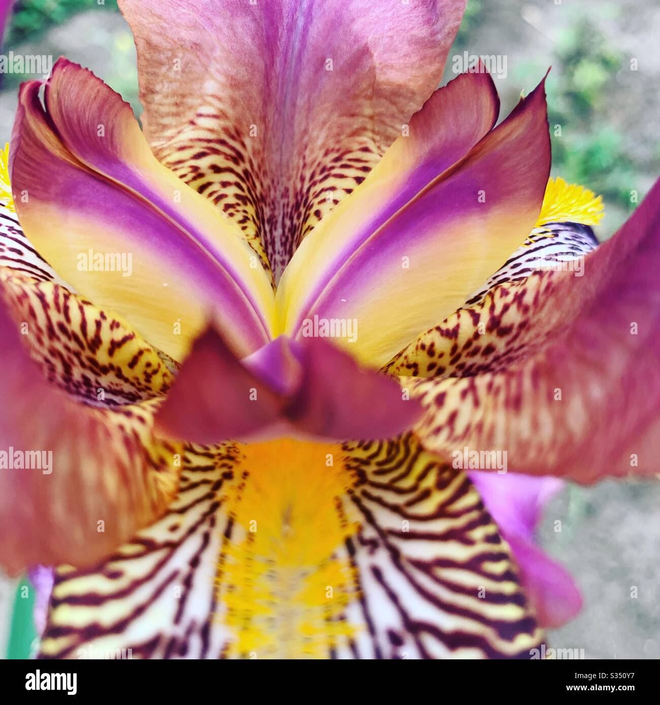Hypnosis hi-res stock photography and images - Alamy