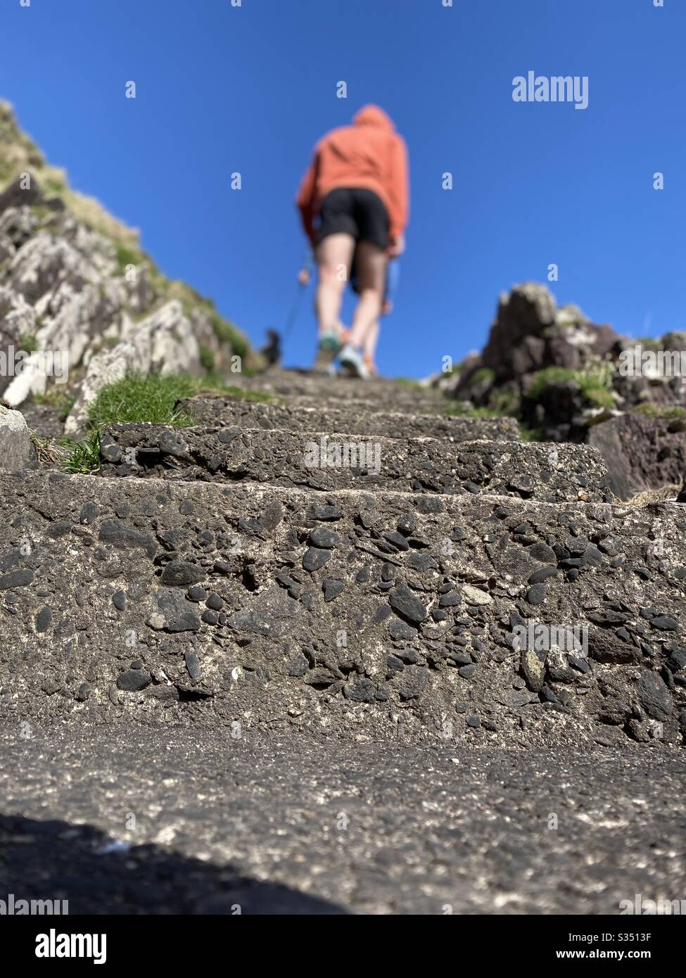 Been bawn hi-res stock photography and images - Alamy