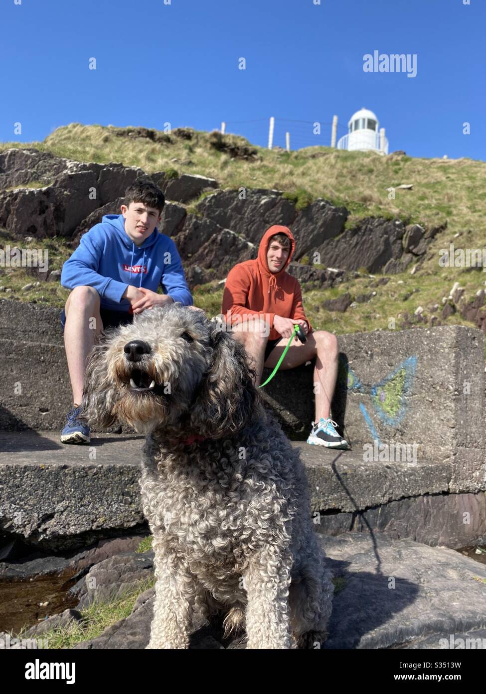 Been bawn hi-res stock photography and images - Alamy