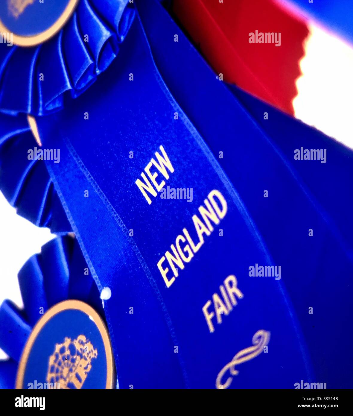 First prize blue ribbon hi-res stock photography and images - Alamy