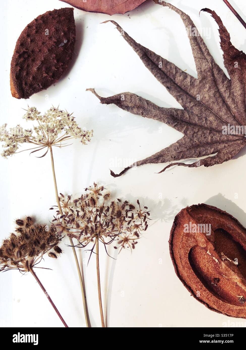 From nature hi-res stock photography and images - Alamy