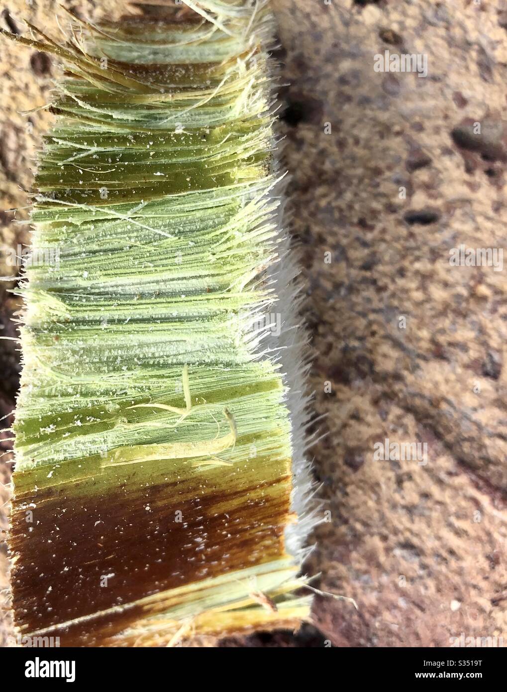 Natural fibers hi-res stock photography and images - Alamy