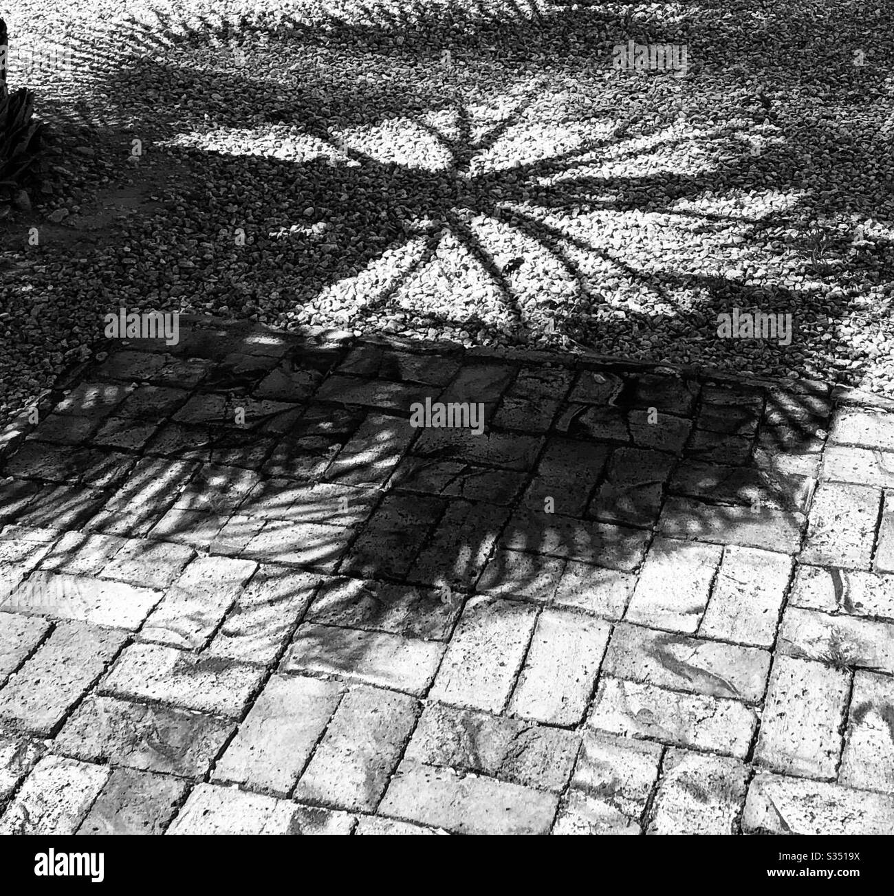 Shadow textures hi-res stock photography and images - Alamy