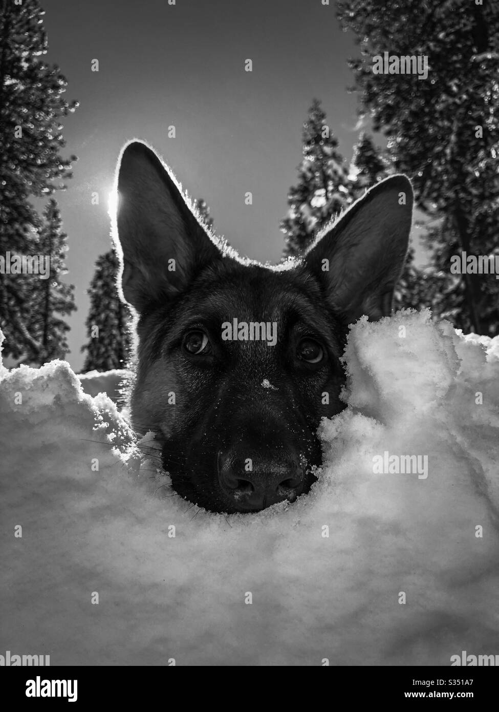 Chillen hi-res stock photography and images - Alamy