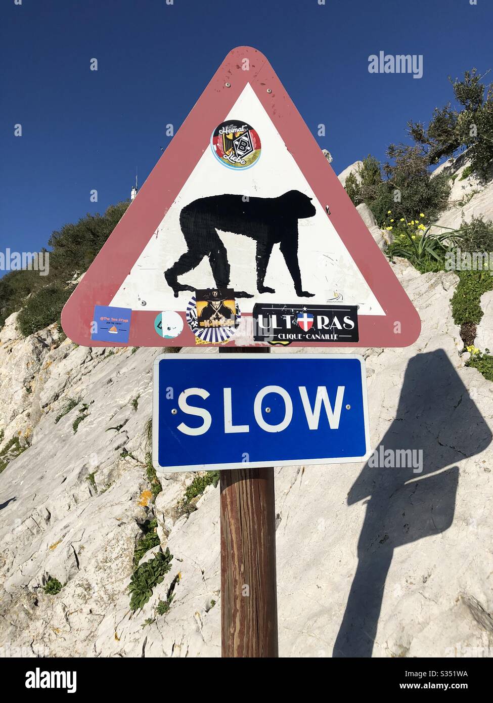 Warning sign for apes Stock Photo - Alamy