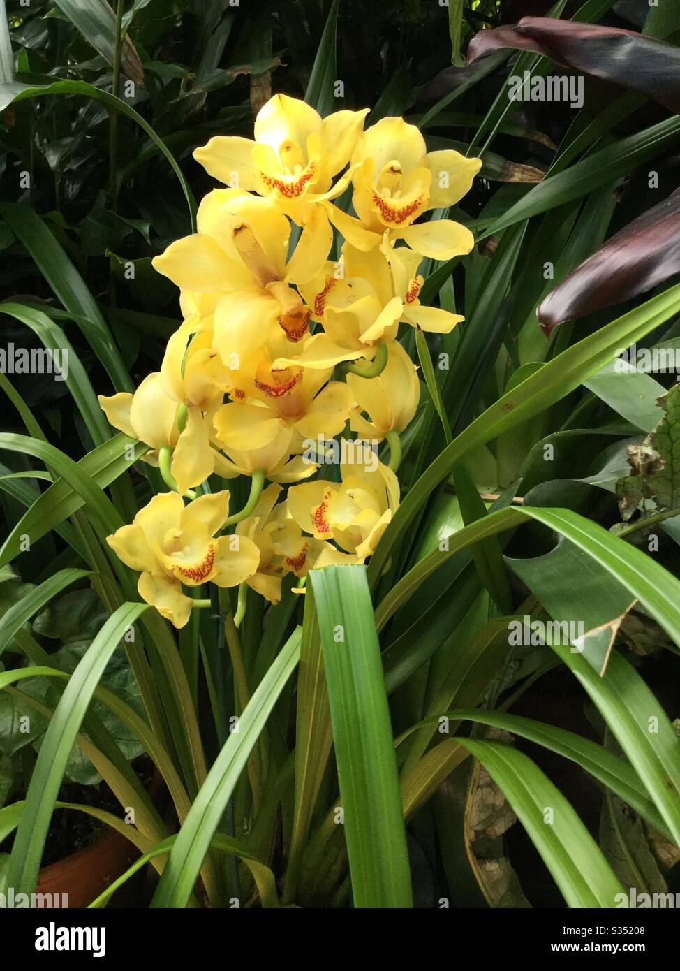 Brightside hi-res stock photography and images - Alamy