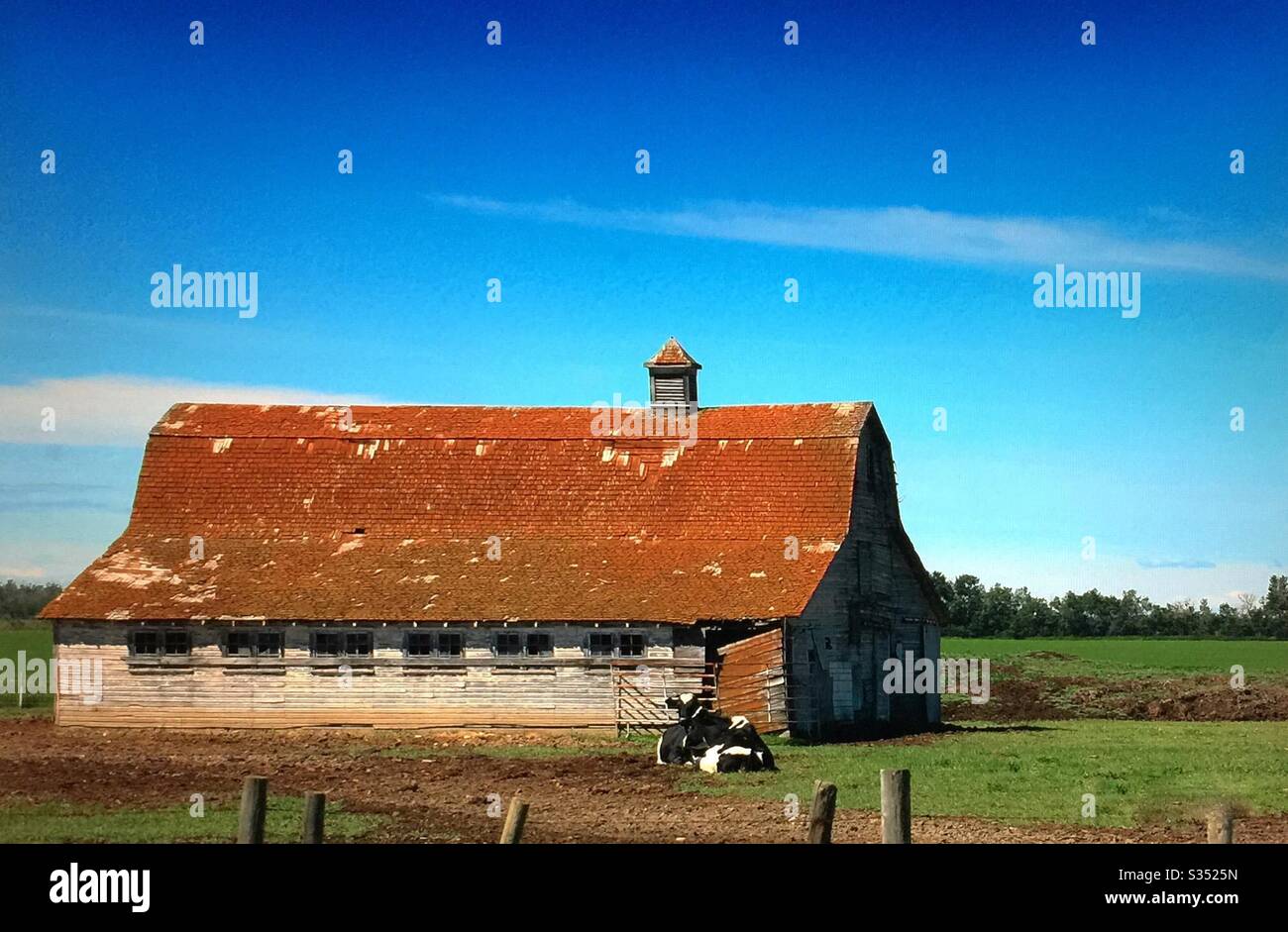 Old cattle barn High Resolution Stock Photography and Images - Alamy