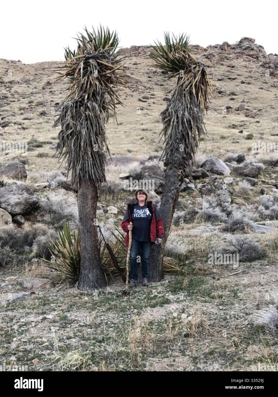 Lucerne valley very tall very rare yucca trees I’m 5 feet 5 inches most ...