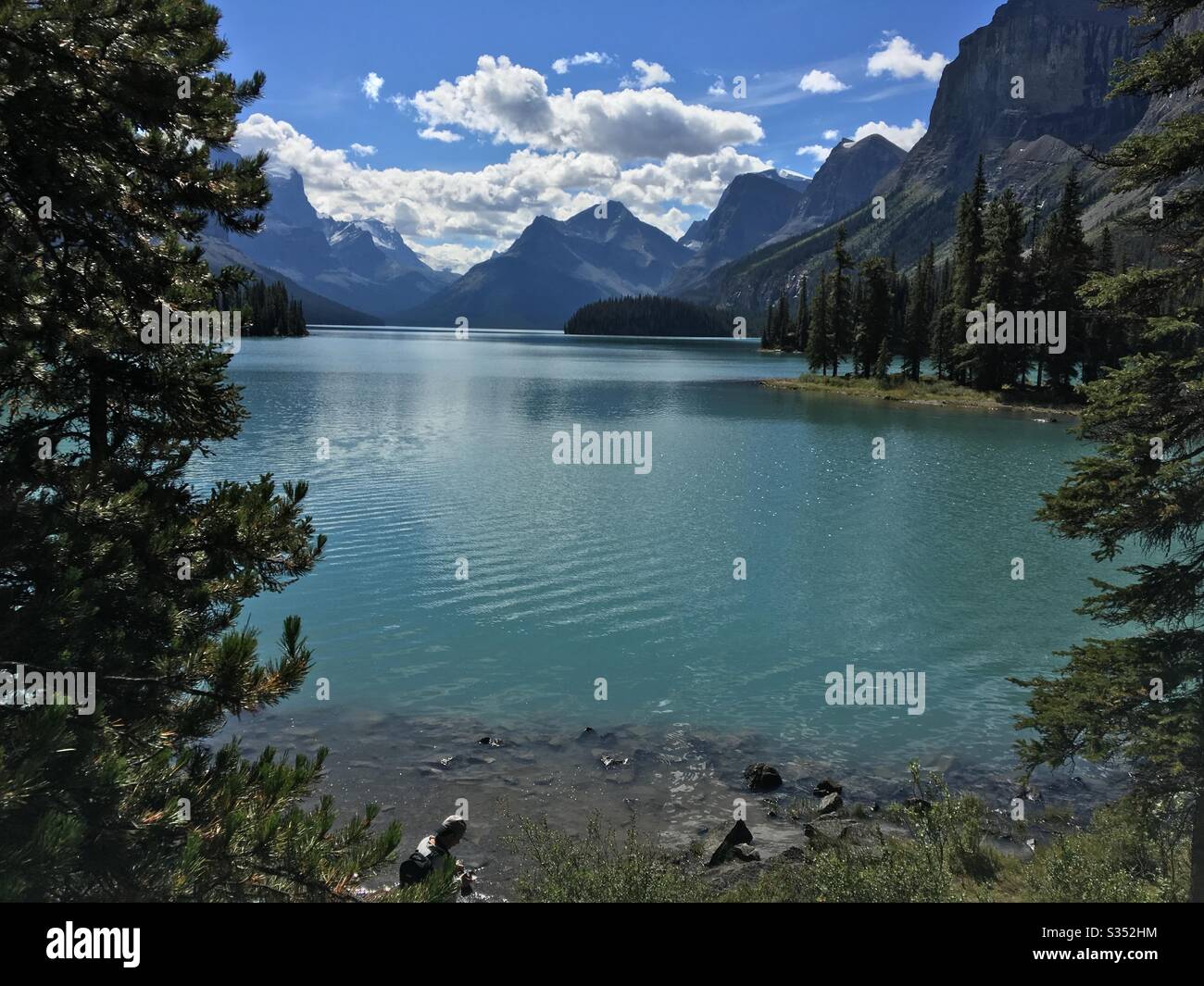 Spirit lake trees hi-res stock photography and images - Alamy