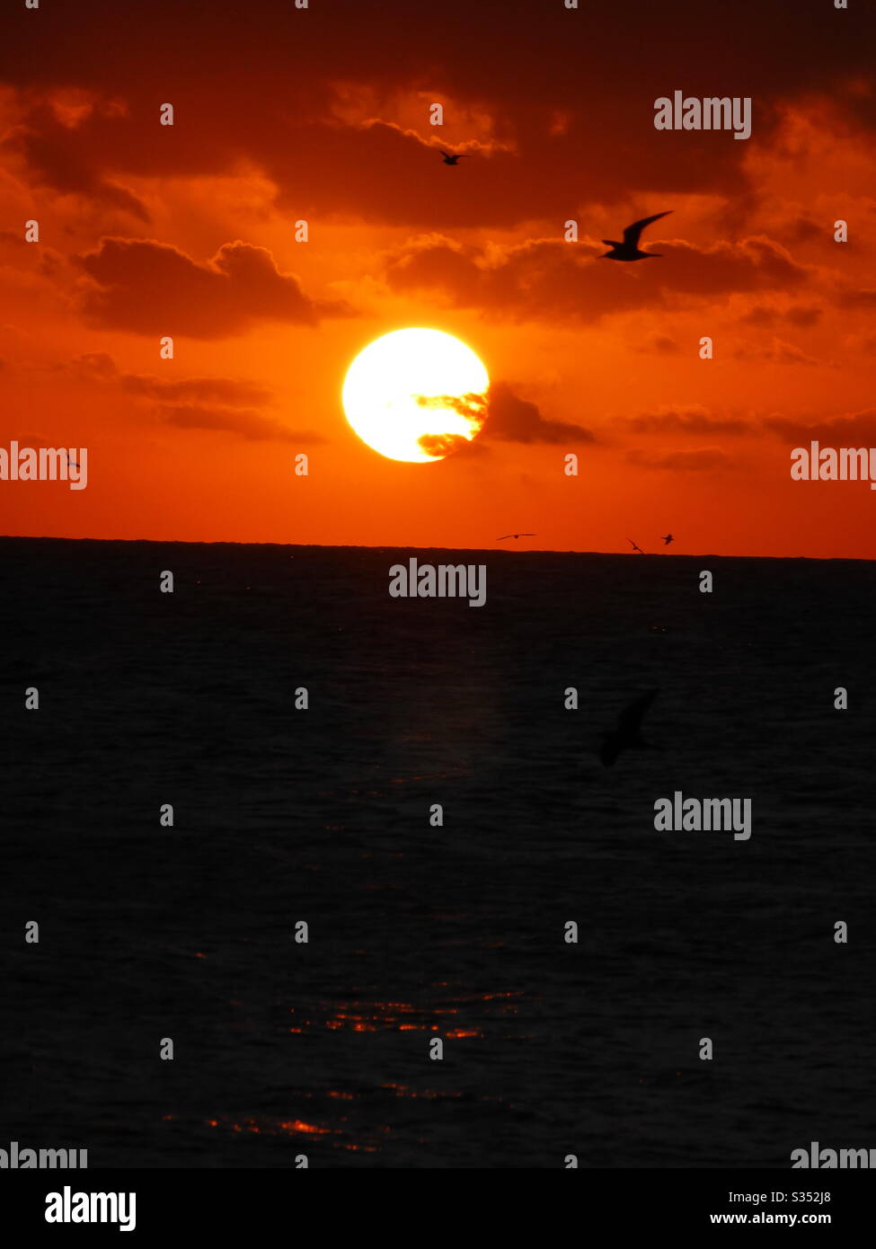 Portrait of sunset hi-res stock photography and images - Alamy