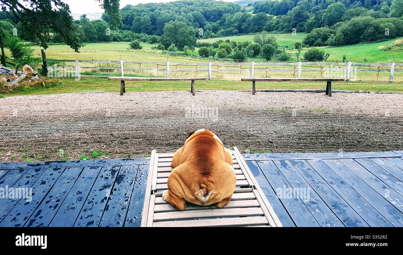 Just Chilling High Resolution Stock Photography and Images - Alamy