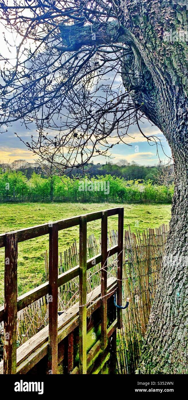 Colours of the countryside Stock Photo - Alamy