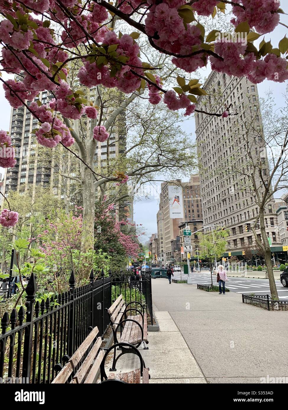 Cherry blossoms new york city hi-res stock photography and images - Alamy