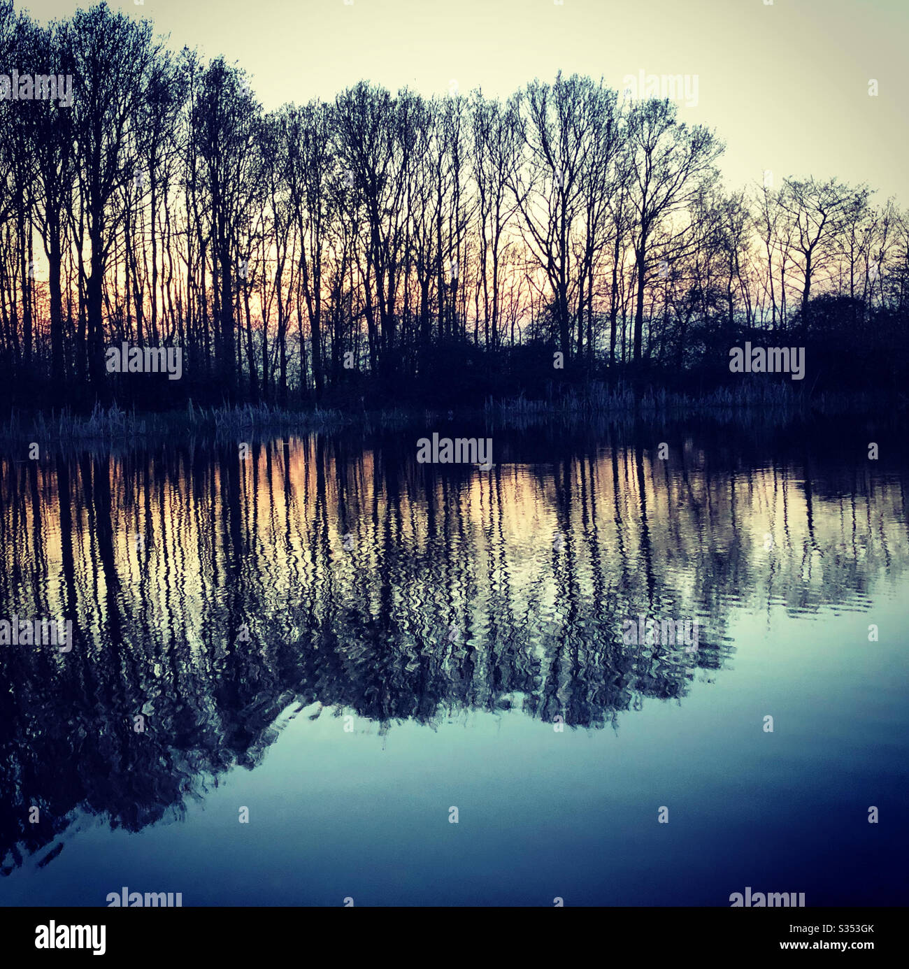 Sunset Reflections In Water