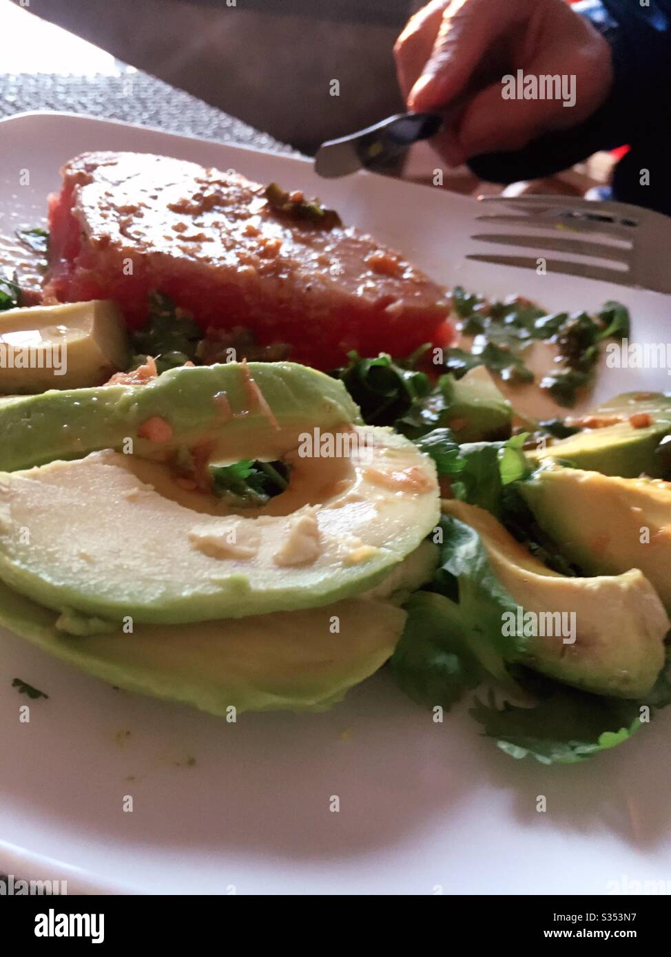 Gourmet entrée of seared tuna steak on a bed of cilantro and avocado ...