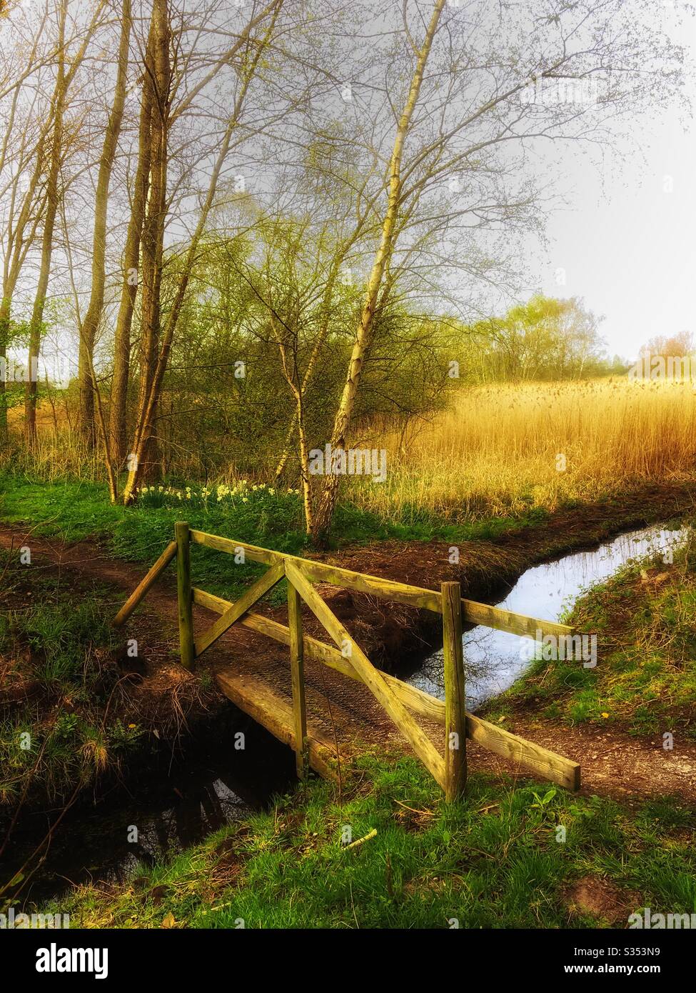 Footbridge over stream in the Cheshire countryside Stock Photo - Alamy