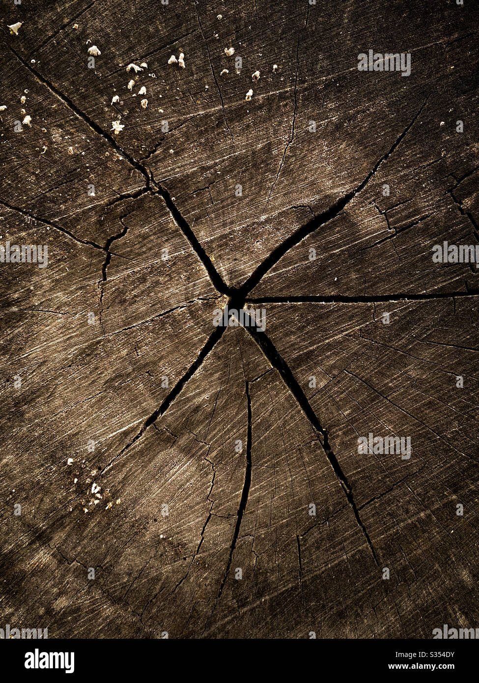 Wood pattern hi-res stock photography and images - Alamy