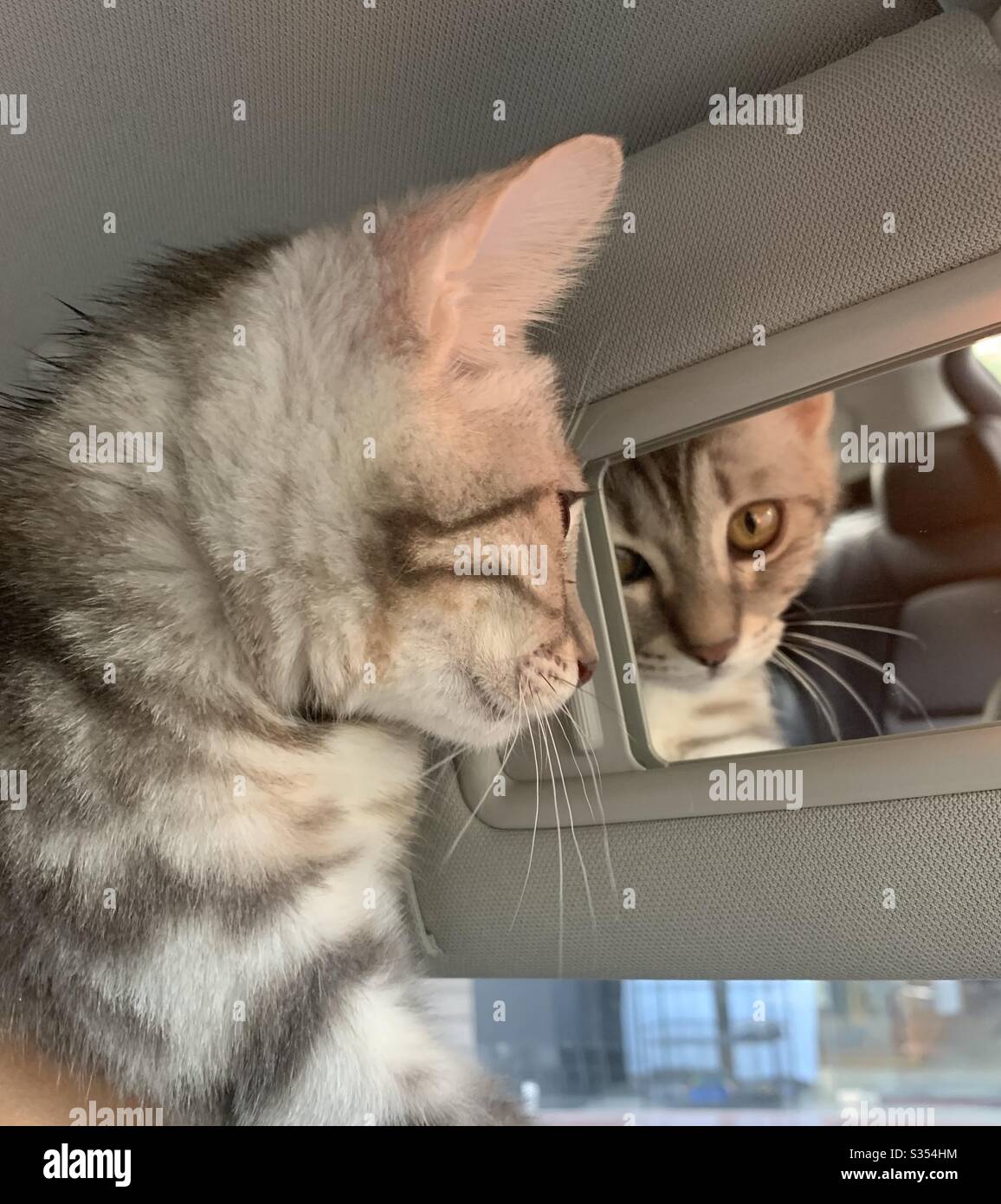 Ohh High Resolution Stock Photography and Images - Alamy