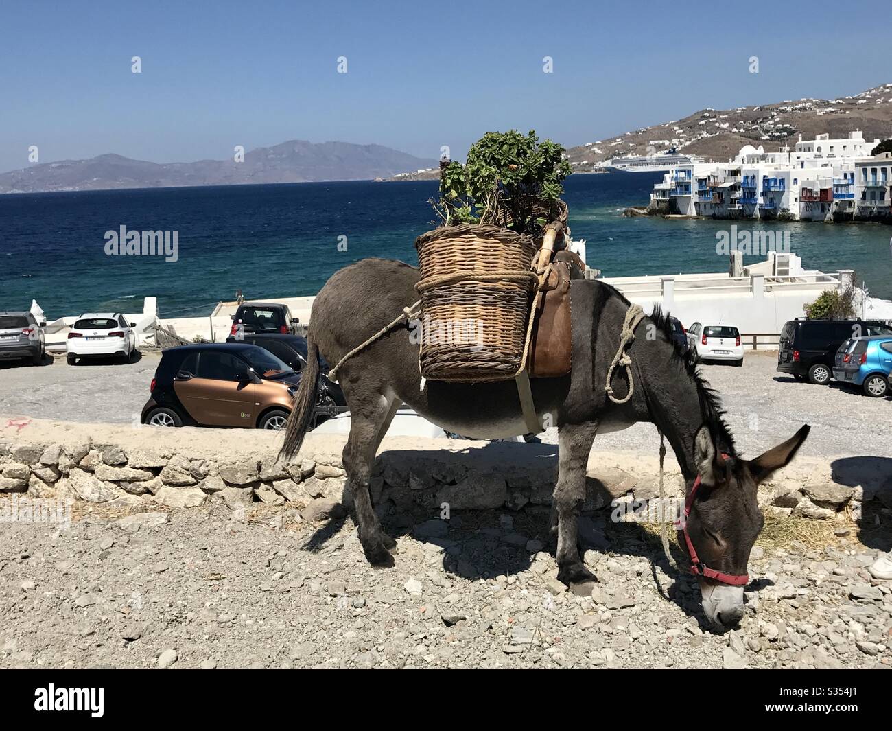 Donkey greece hi-res stock photography and images - Alamy