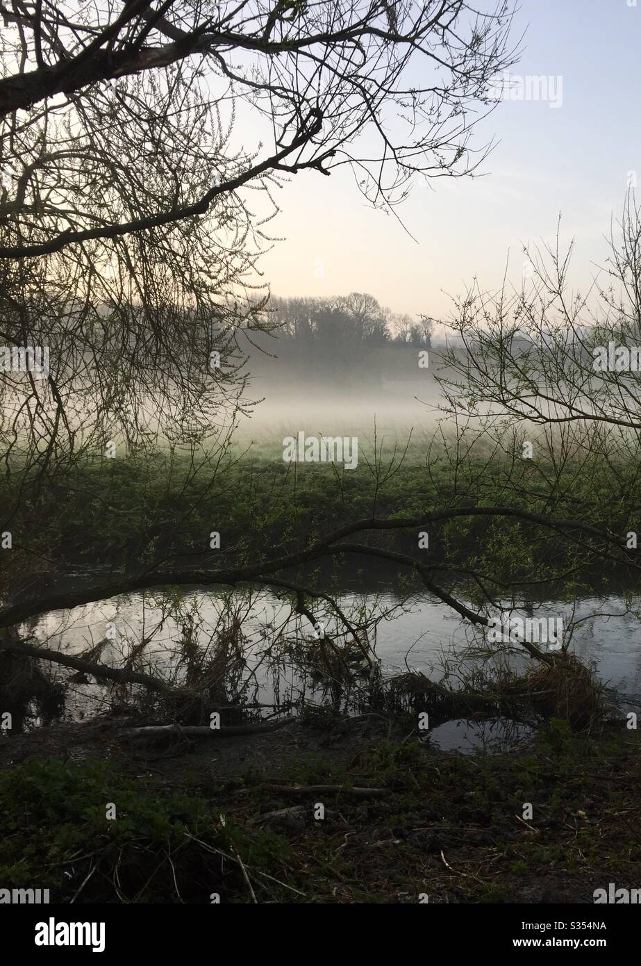 Stream with mist Stock Photo - Alamy