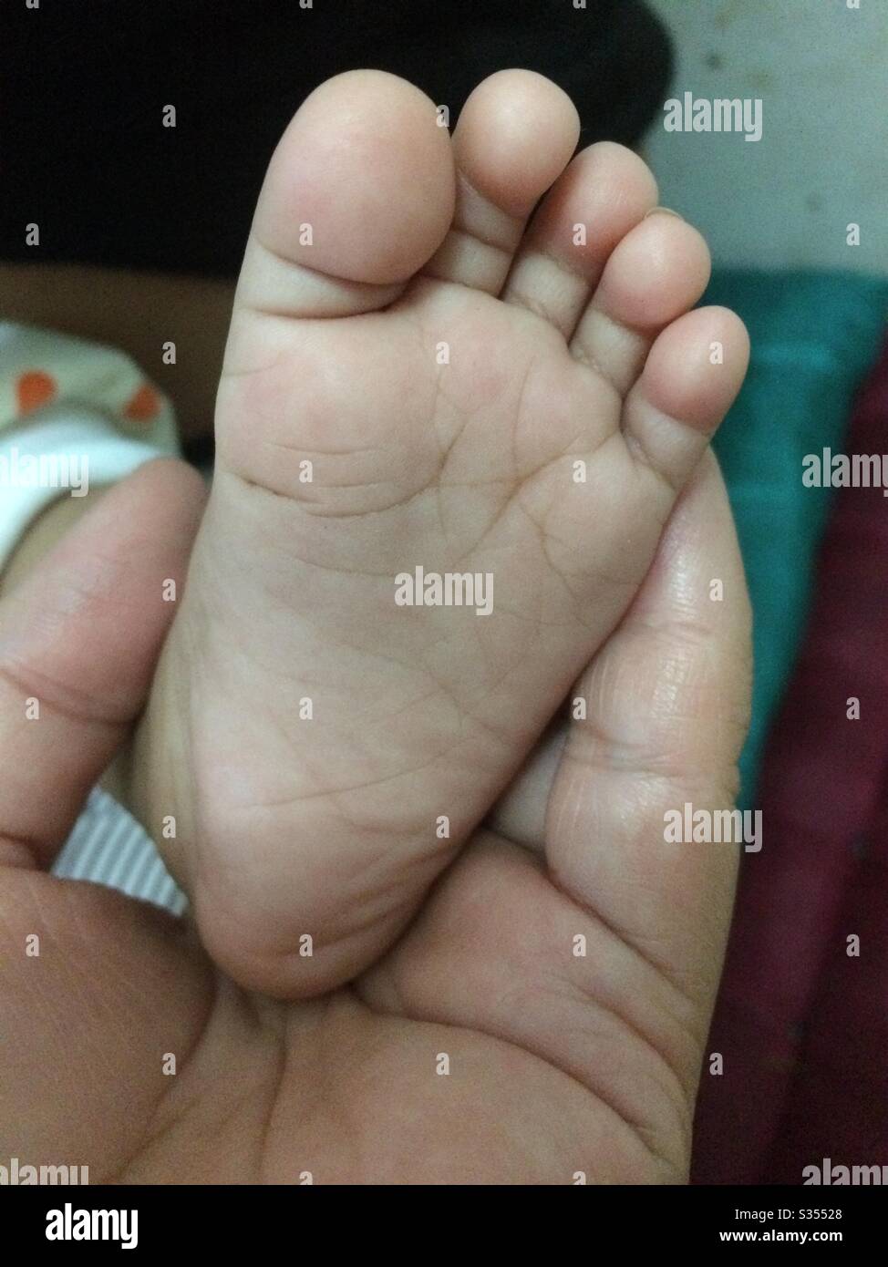 The little foot hi-res stock photography and images - Alamy