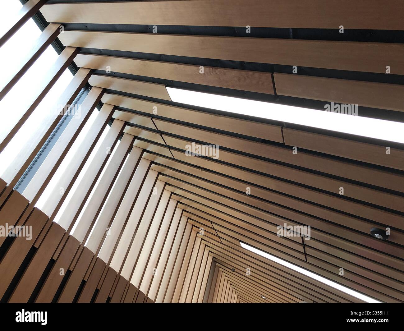 Linear ceiling hi-res stock photography and images - Alamy