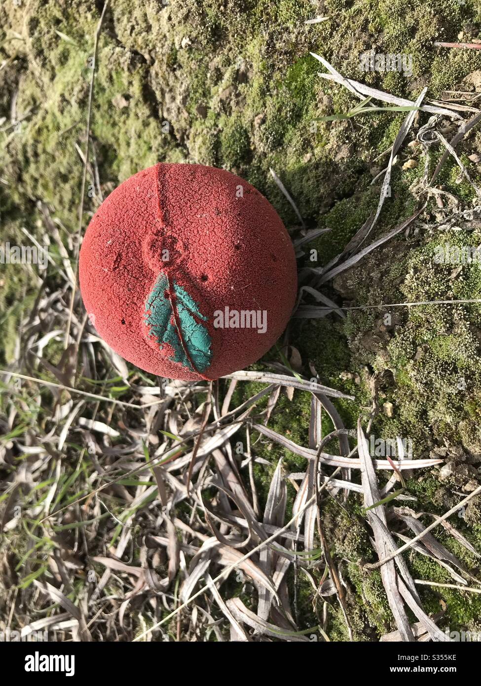 Apple foam hi-res stock photography and images - Alamy