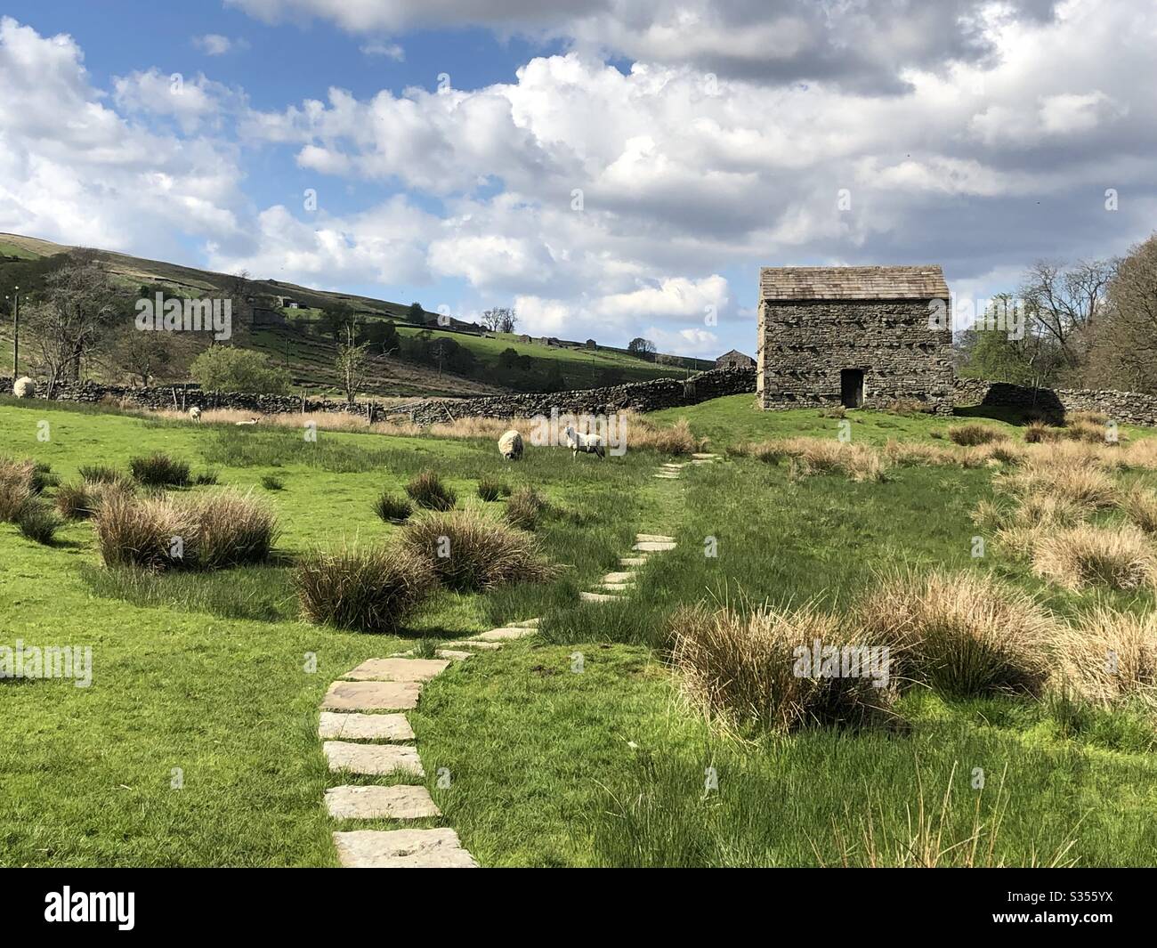 Swaledale barn in springtime Stock Photo - Alamy