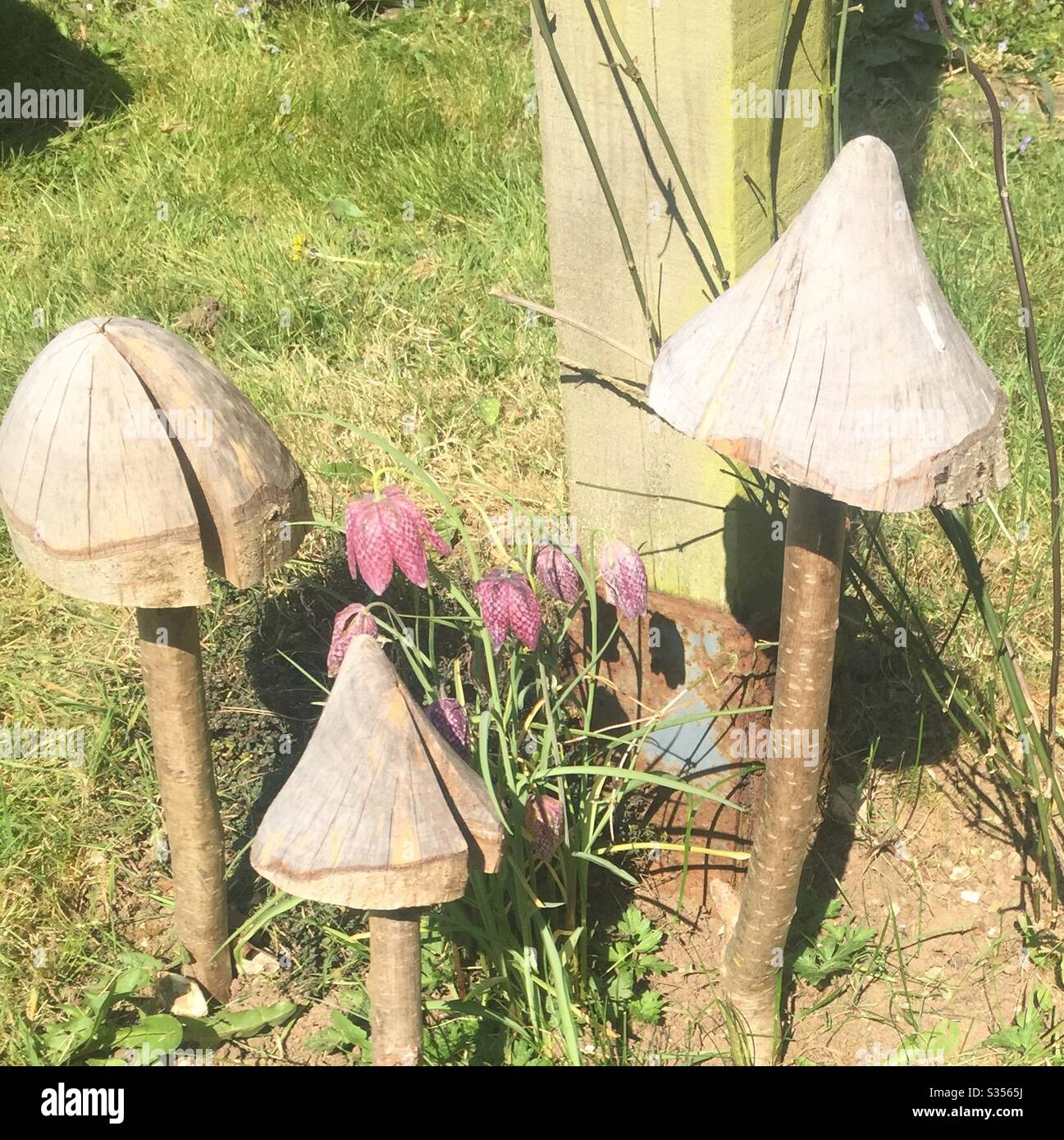 Wooden mushrooms with snake head fritillary Stock Photo - Alamy