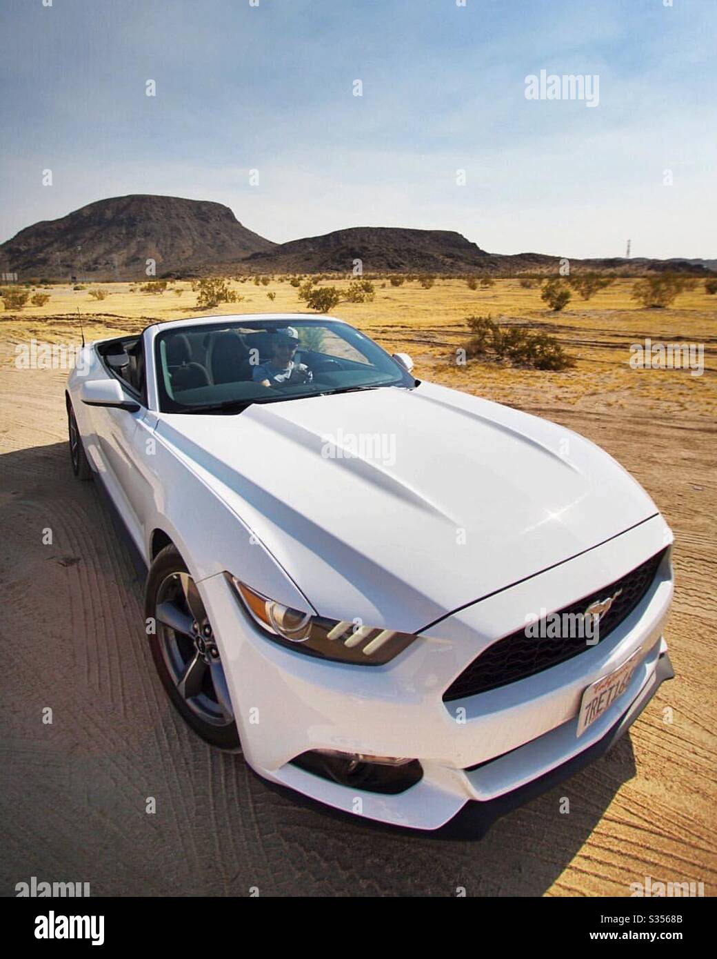 Mustang horse nevada hi-res stock photography and images - Alamy