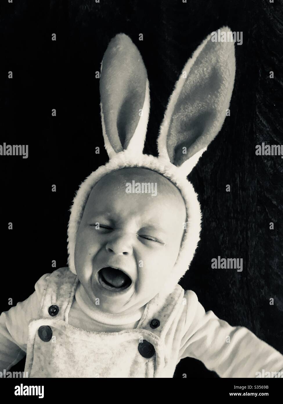 Happy bunny hi-res stock photography and images - Alamy