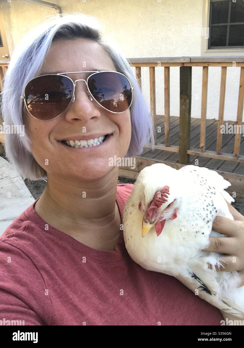 Chicken selfie hi-res stock photography and images - Alamy
