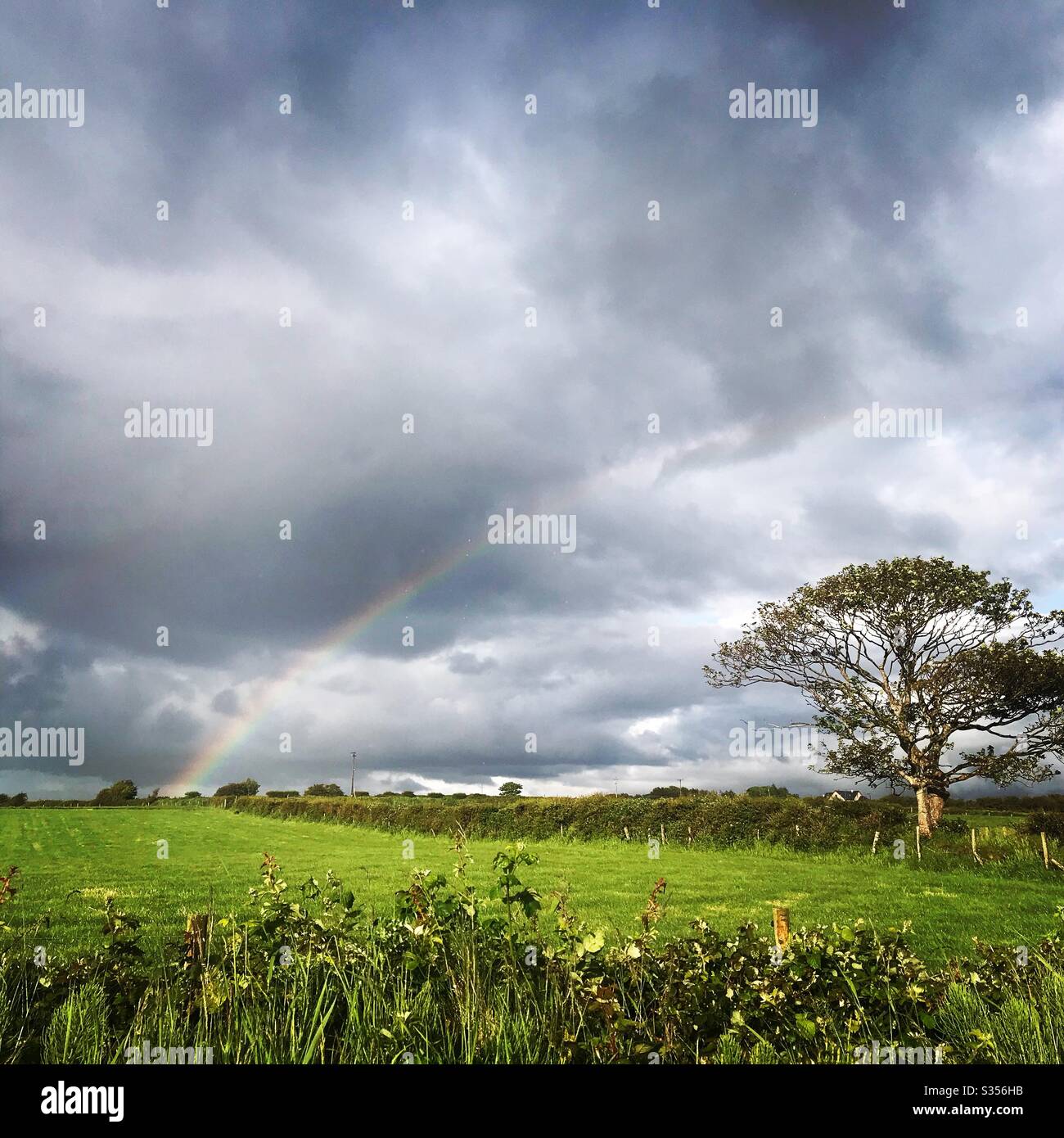 Ireland rainbow hi-res stock photography and images - Alamy
