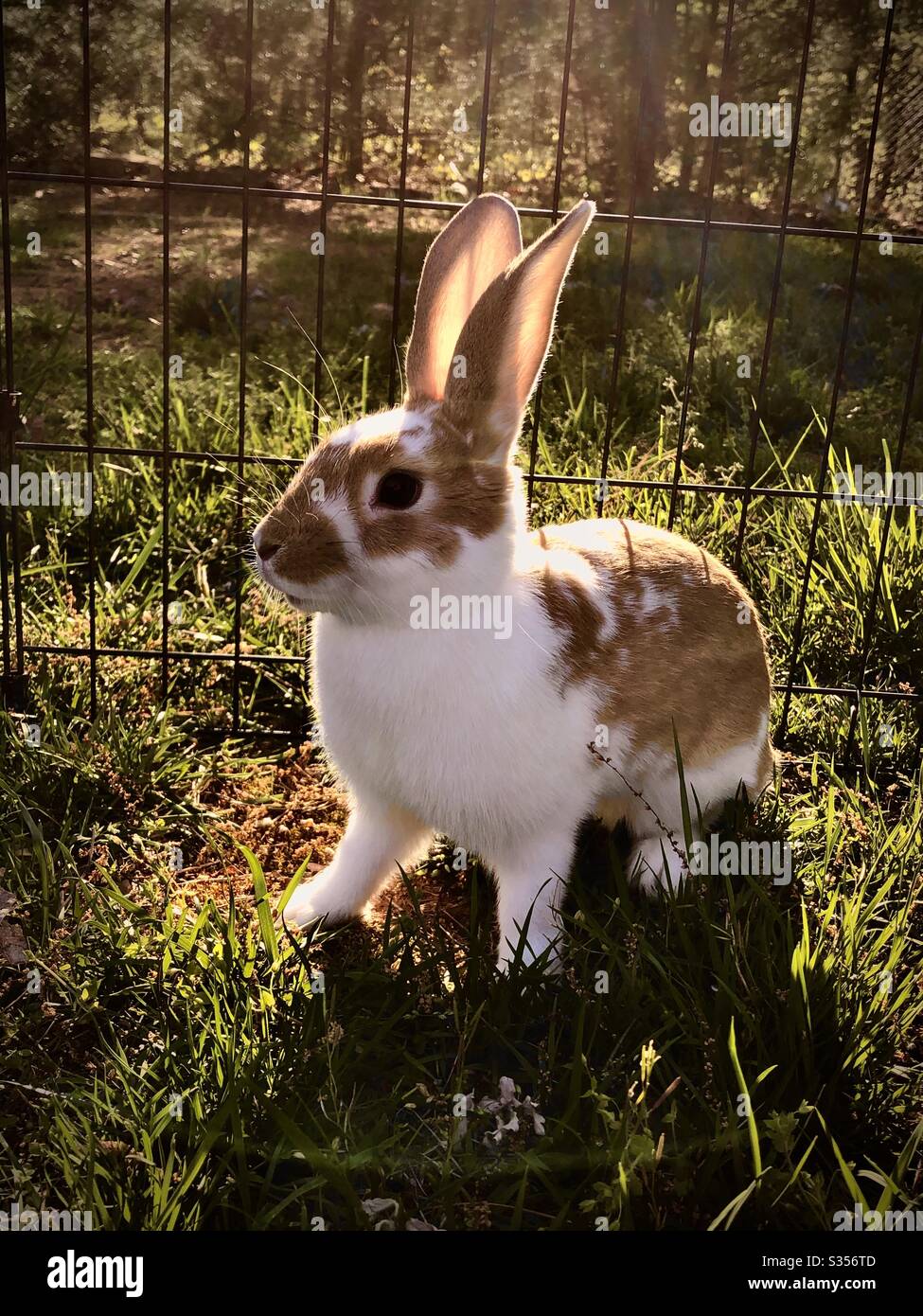 Legit hi-res stock photography and images - Alamy