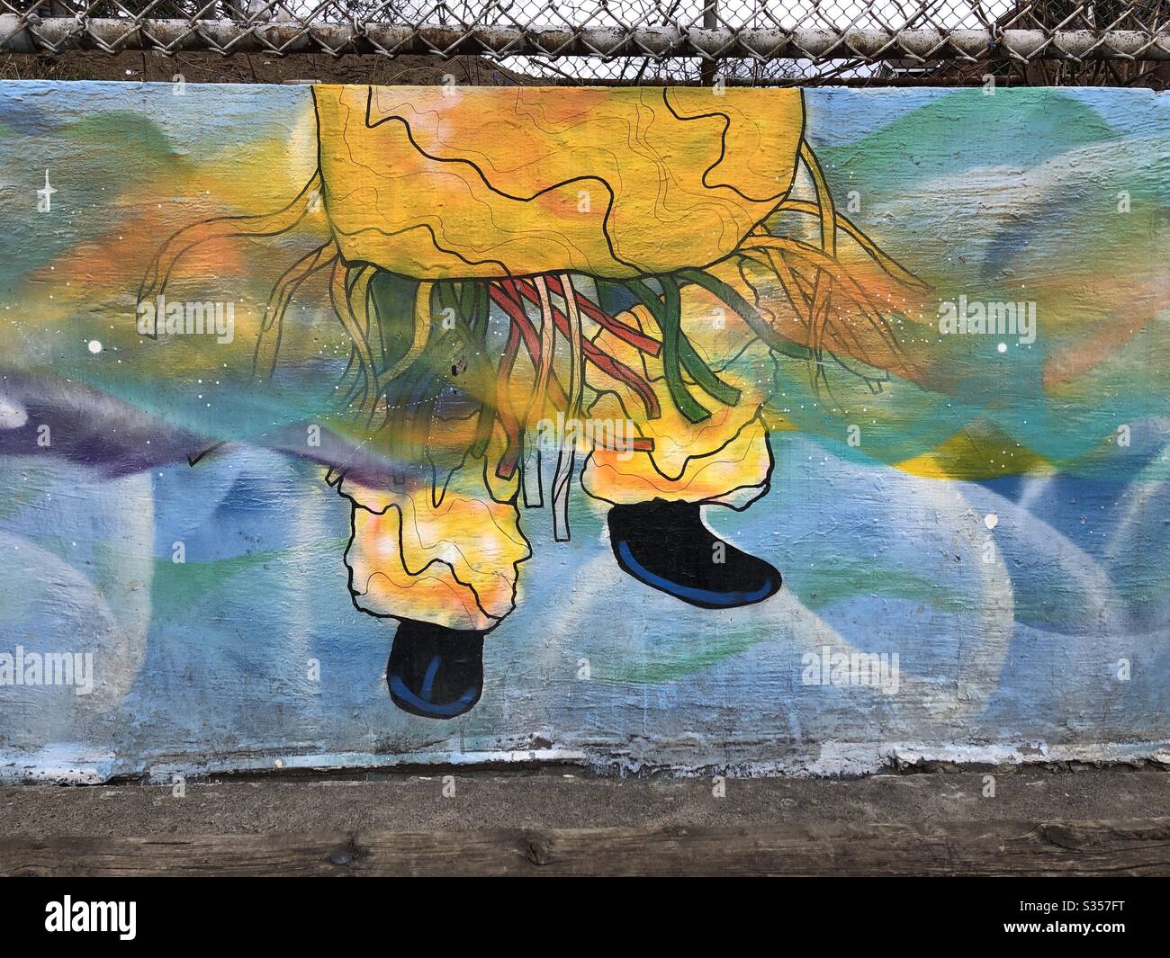 Urban street graffiti mural honouring First Nation heritage Stock Photo ...