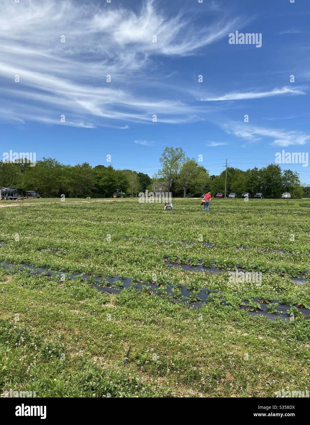 Baker florida hi-res stock photography and images - Alamy