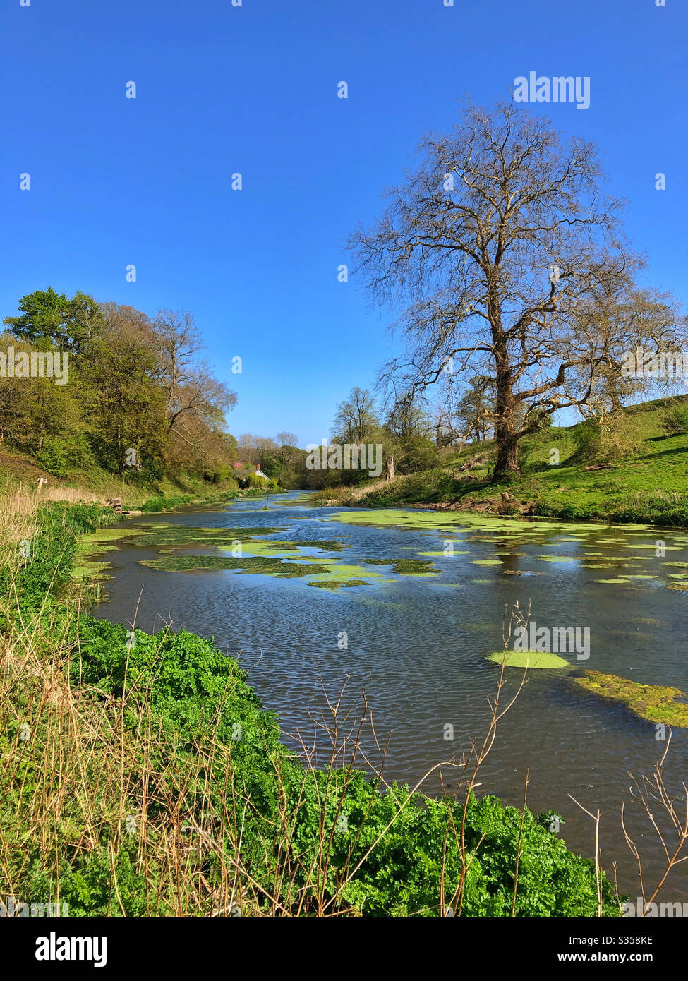 Pit south hi-res stock photography and images - Alamy